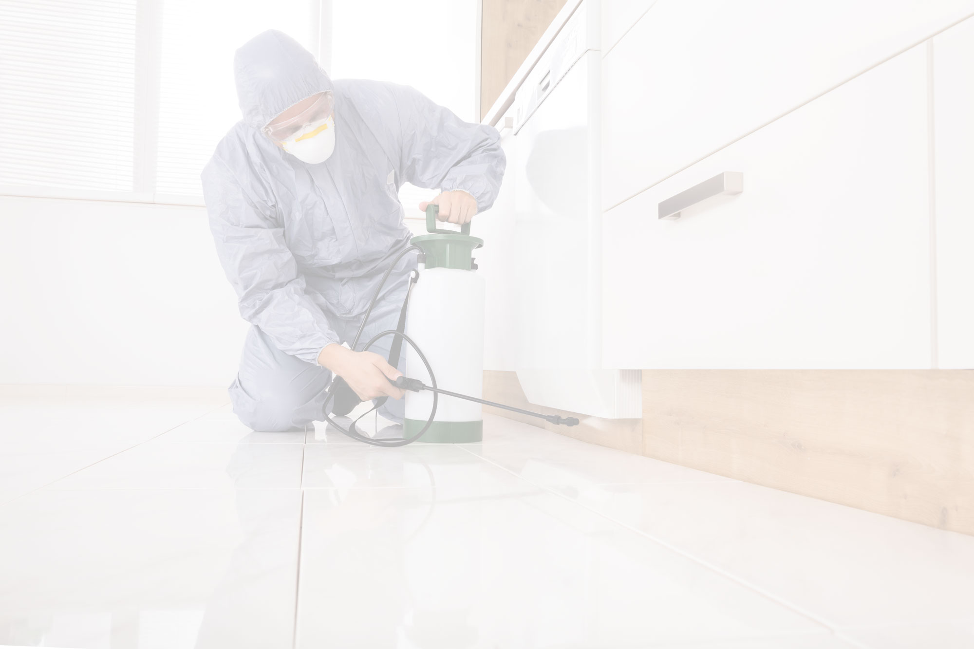 Decontamination | Mold Xperts | We get rid of the mold!